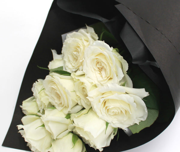 Classic Dozen White Roses - ROMA BLOOMS FLORIST